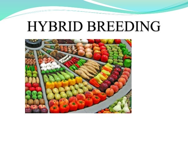 Hybrid breeding in plants