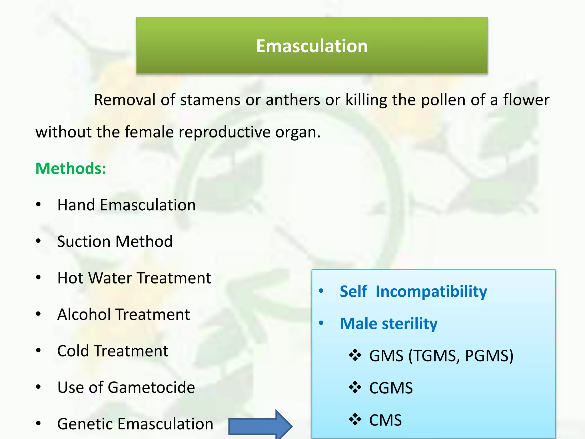 Hybrid breeding | PPTX