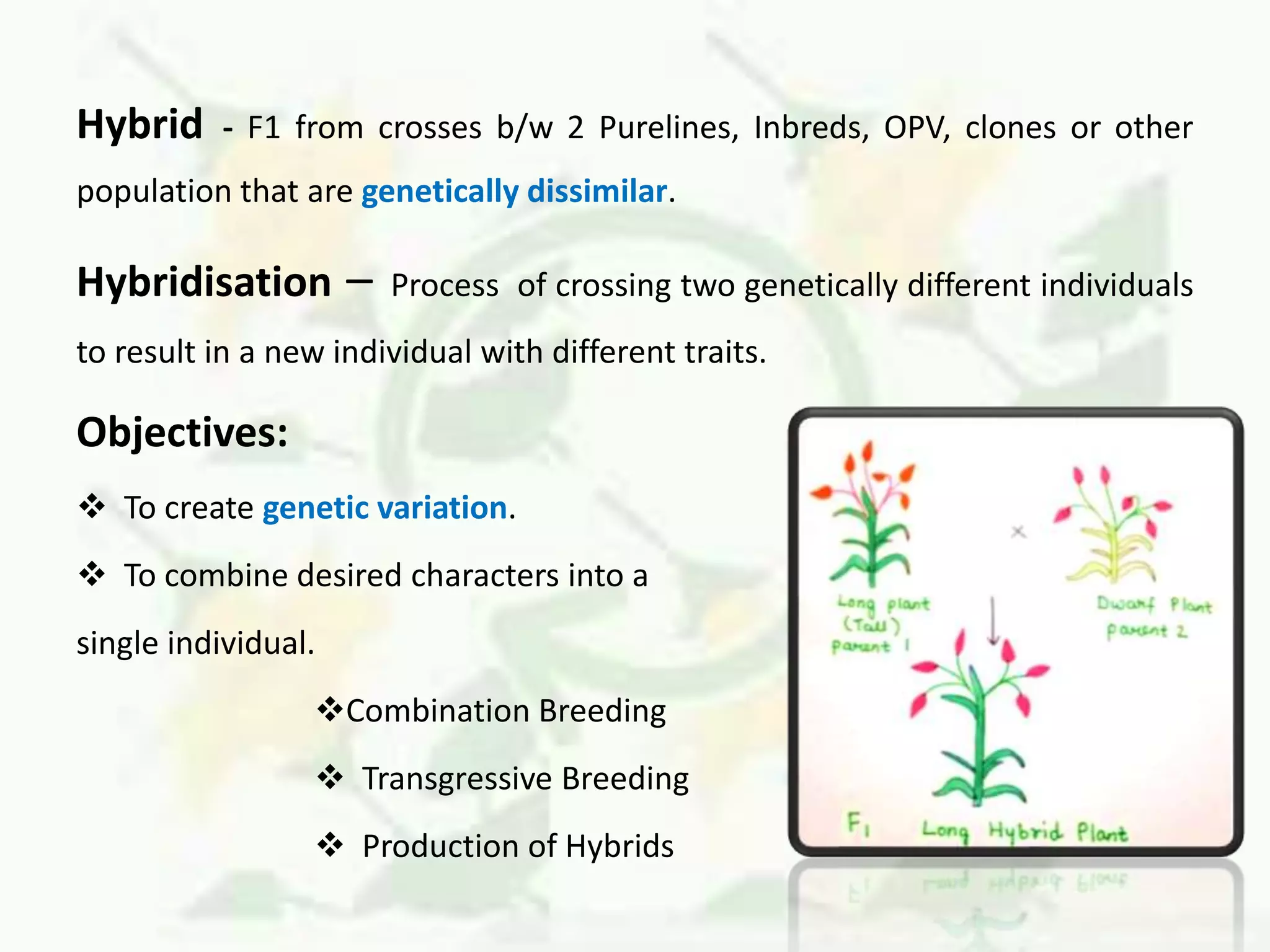Hybrid breeding | PPTX