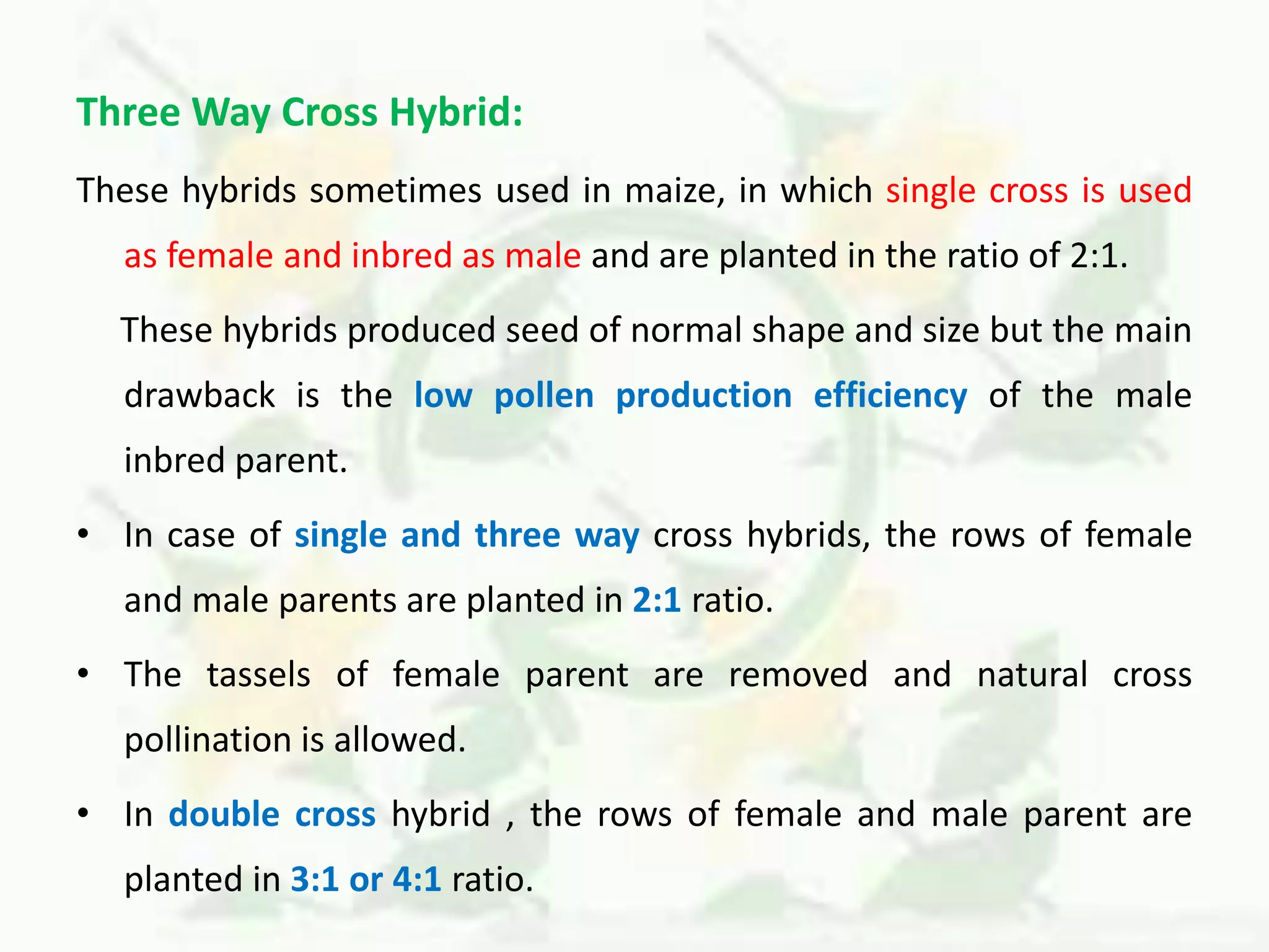 Hybrid breeding | PPTX