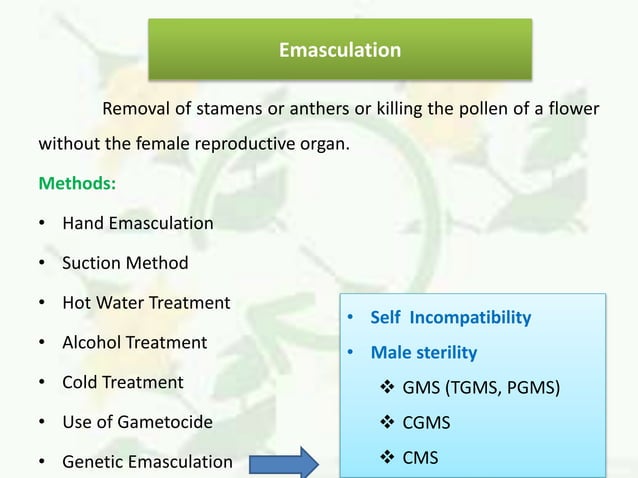 Hybrid breeding | PPTX