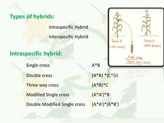 Hybrid breeding | PPTX