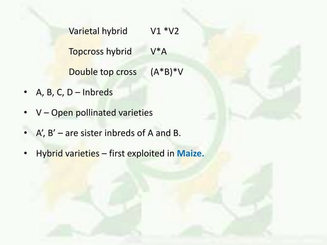 Hybrid breeding | PPTX