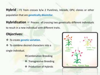Hybrid breeding | PPTX