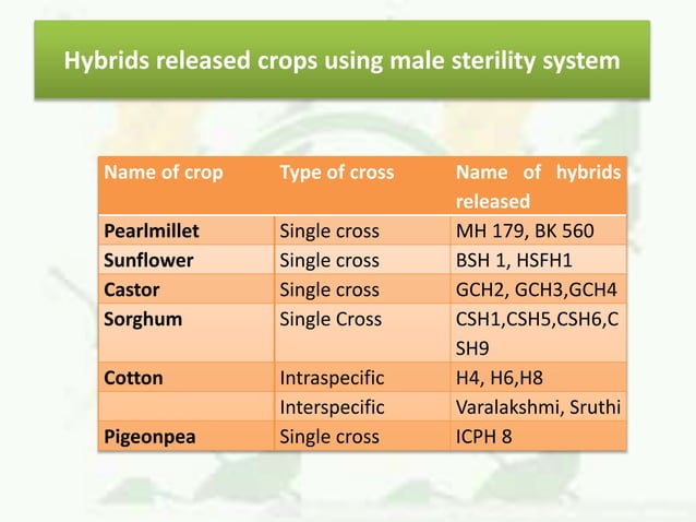 Hybrid breeding | PPTX