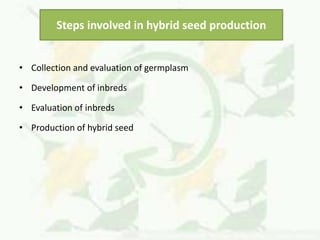 Hybrid breeding | PPTX