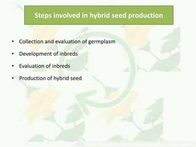Hybrid breeding | PPTX
