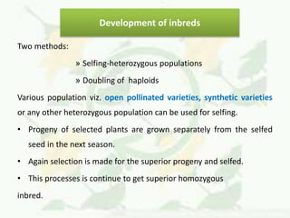 Hybrid breeding | PPTX