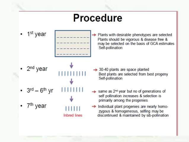 Hybrid breeding | PPTX