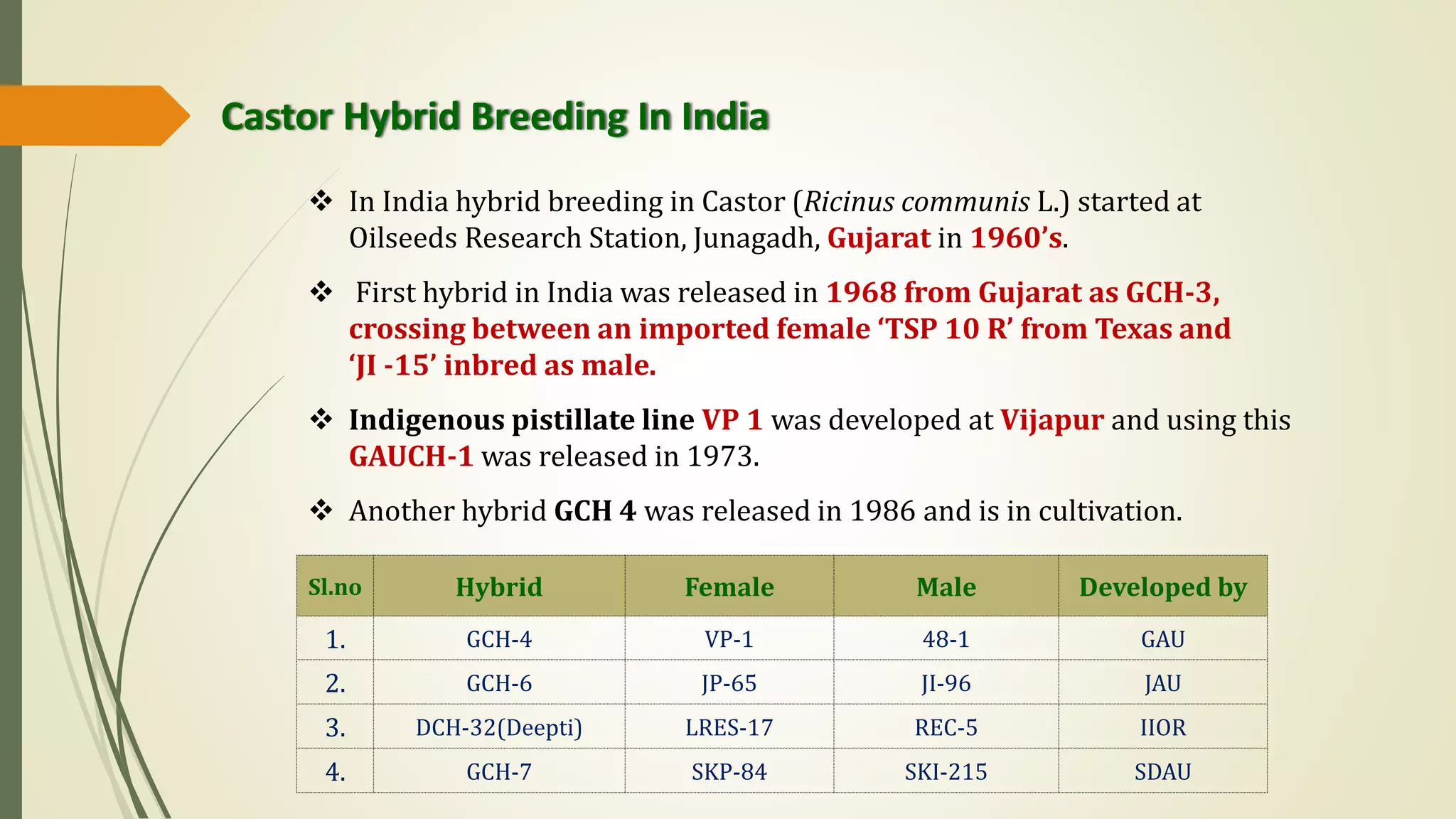 Hybrid Seed Production of Castor.pptx
