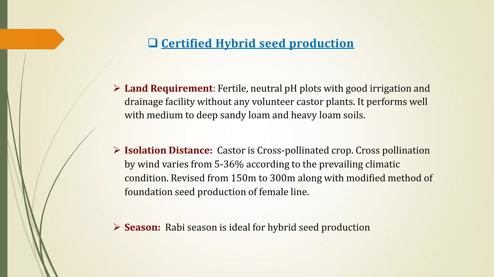 Hybrid Seed Production of Castor.pptx