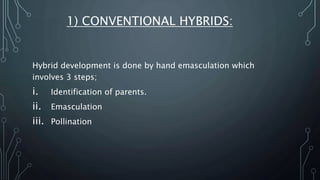 Hybrid Cotton Development | PPTX