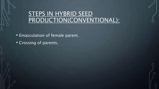 Hybrid Cotton Development | PPTX