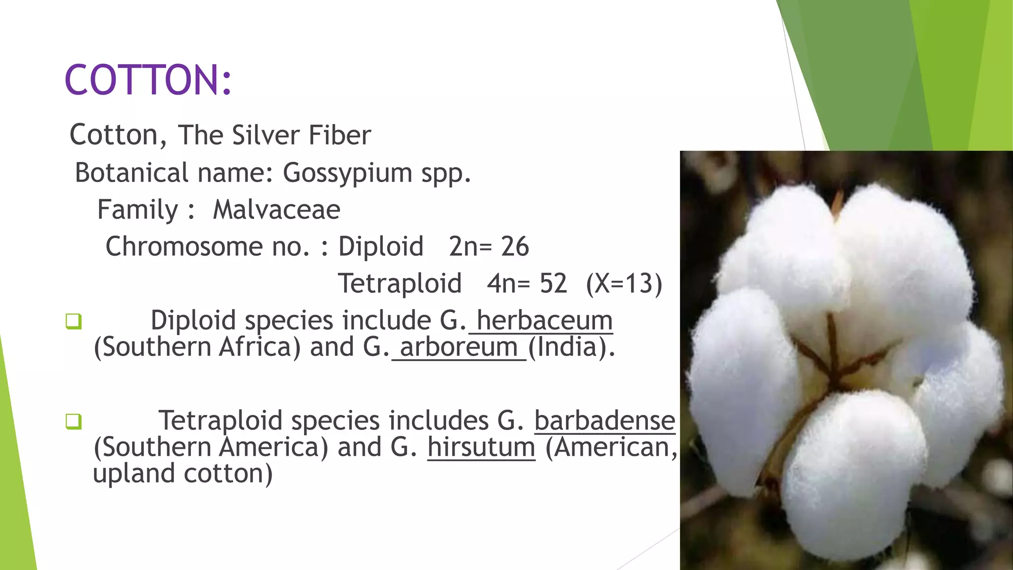 Hybrid cotton seed development | PPT