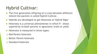 Hybrid cotton seed development | PPT