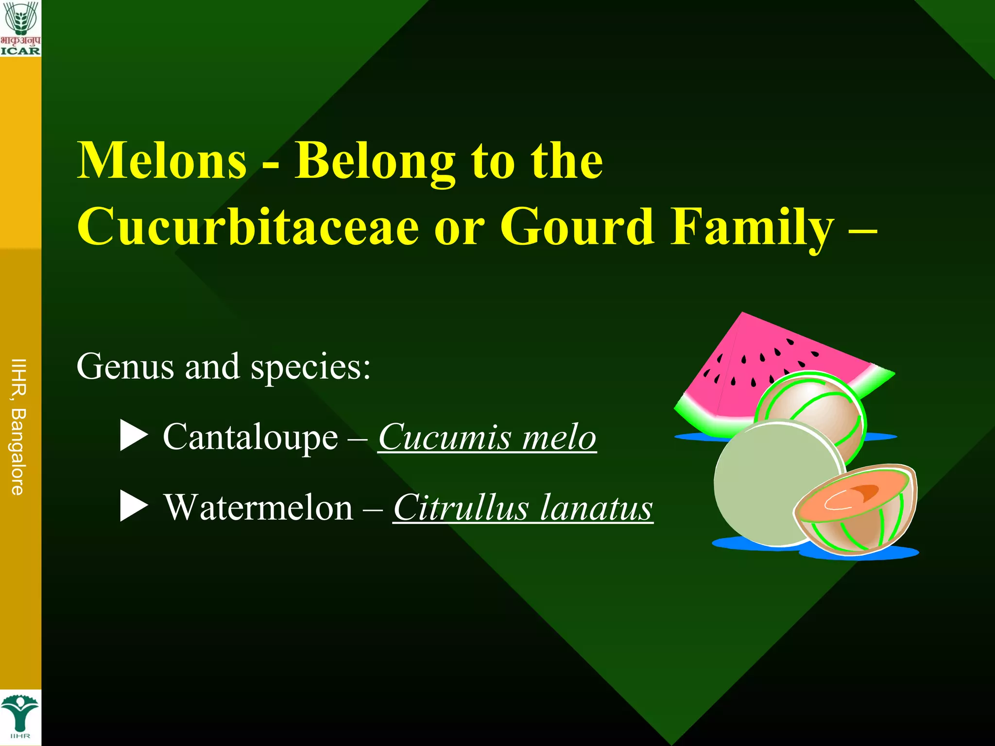 Hybrid development in melons and watermelons1 | PPT