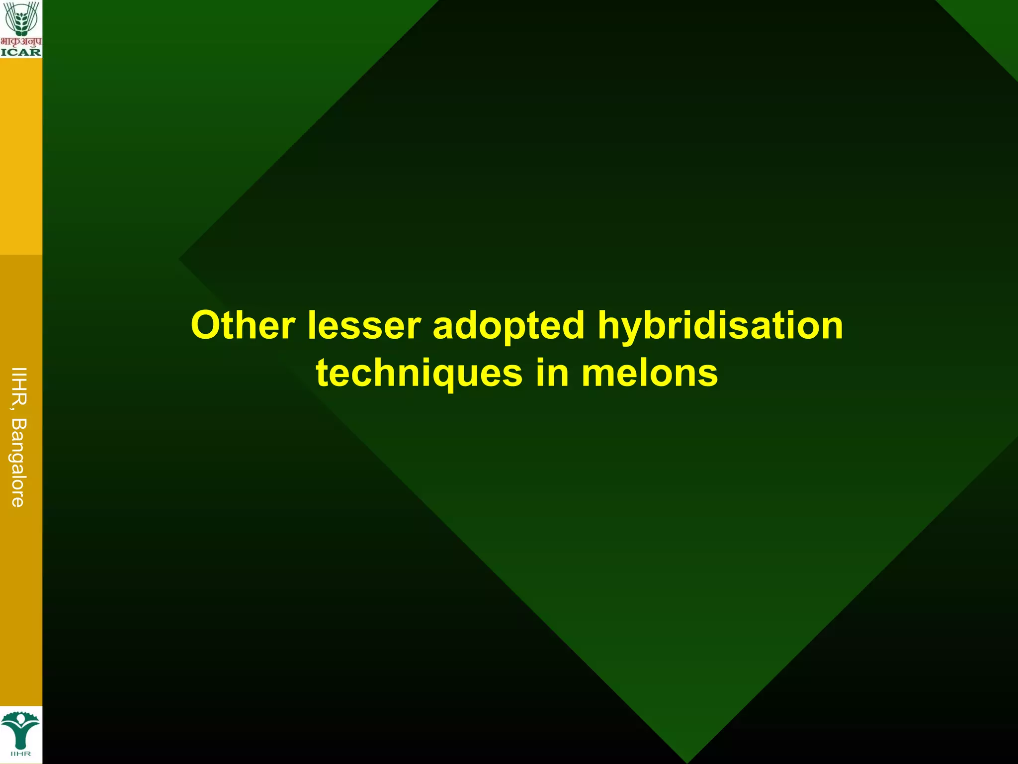 Hybrid development in melons and watermelons1 | PPT