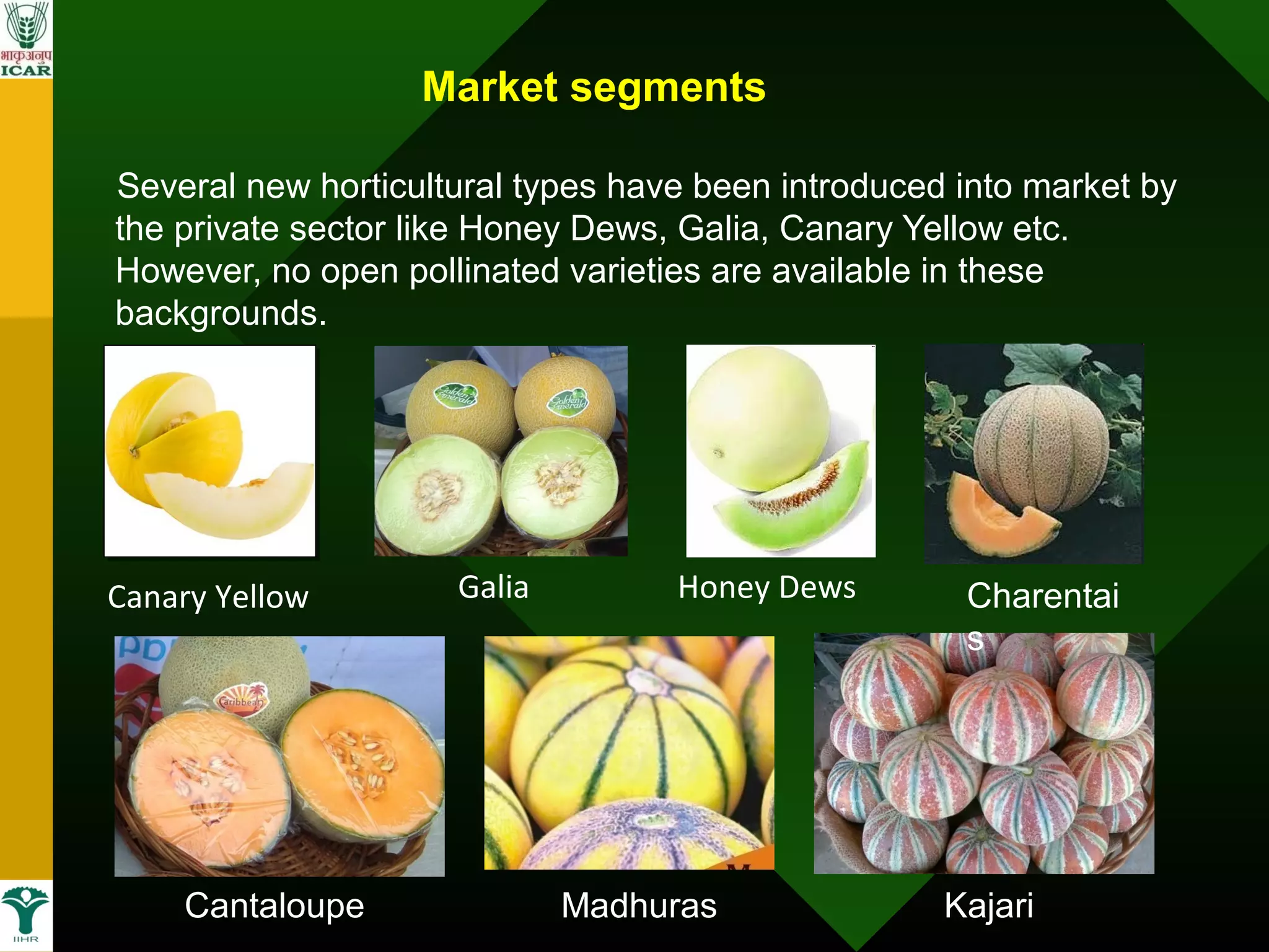 Hybrid development in melons and watermelons1 | PPT