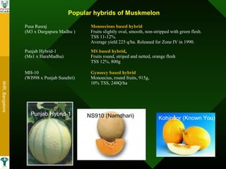 Hybrid development in melons and watermelons1 | PPT