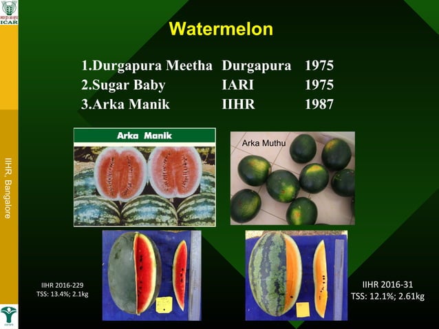 Hybrid development in melons and watermelons1 | PPT