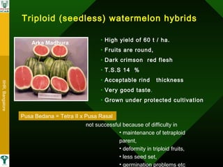 Hybrid development in melons and watermelons1 | PPT