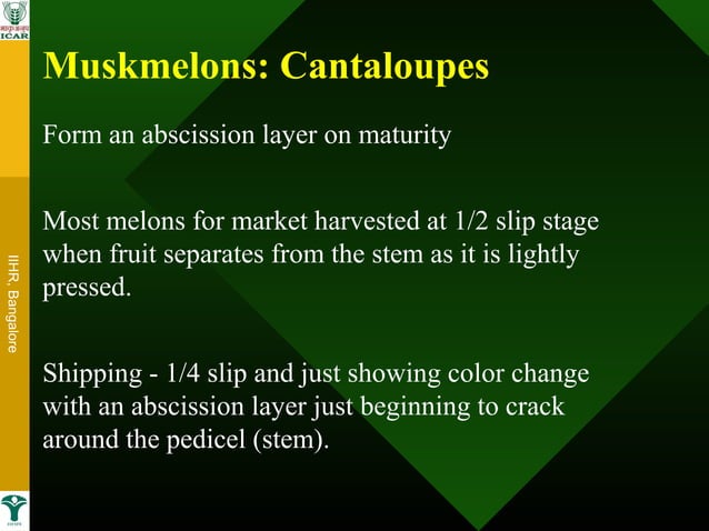 Hybrid development in melons and watermelons1 | PPT