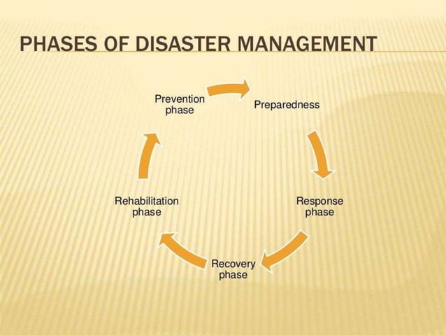 hybrid disaster and management.pptx