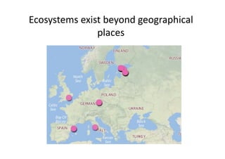 Hybrid Ecosystem Of Narratives | PPT