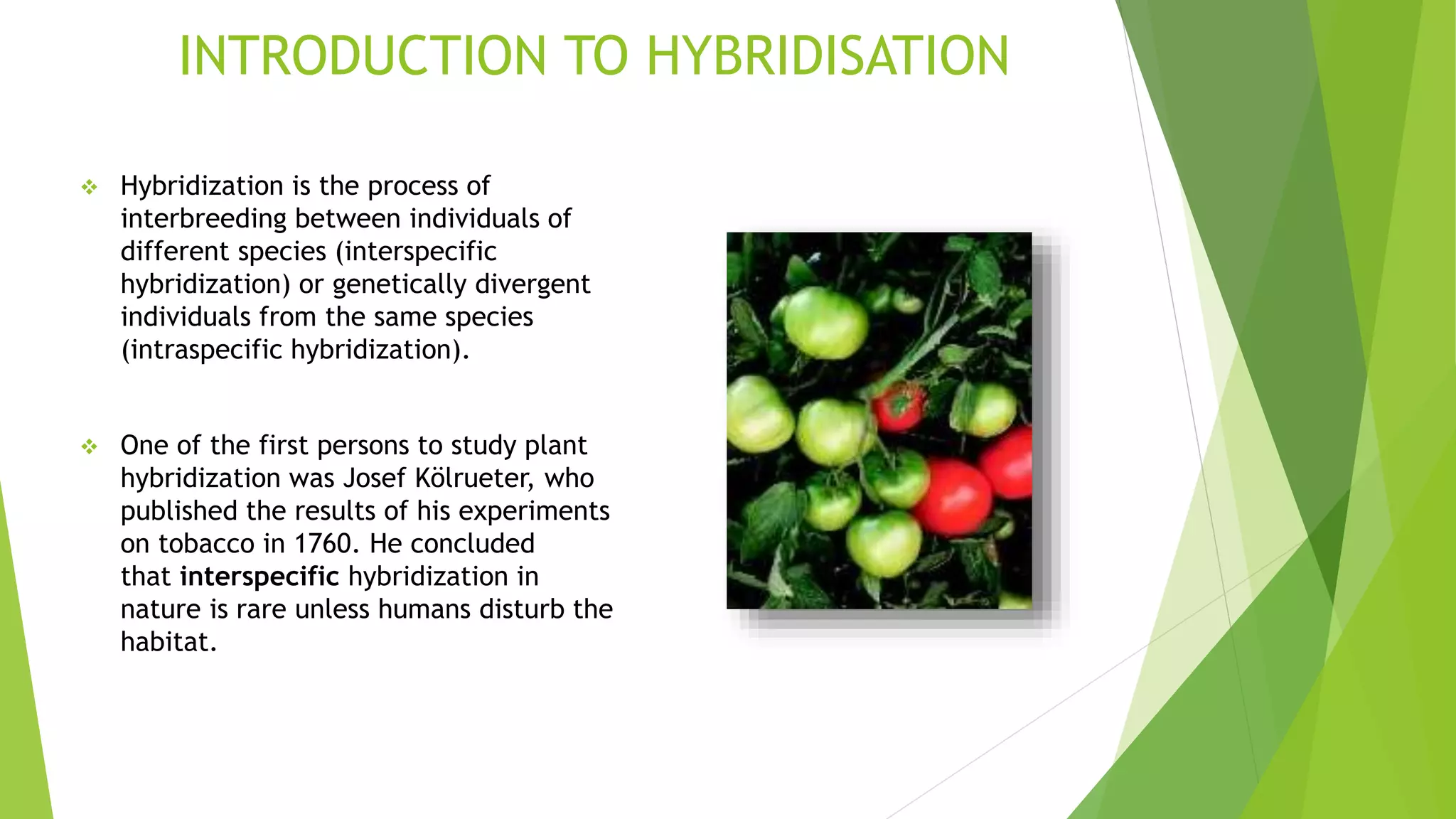 Hybridisation | PPTX