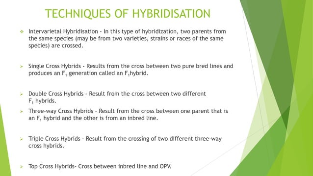 Hybridisation | PPTX | Biological Sciences | Science