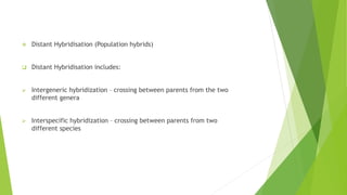Hybridisation | PPTX