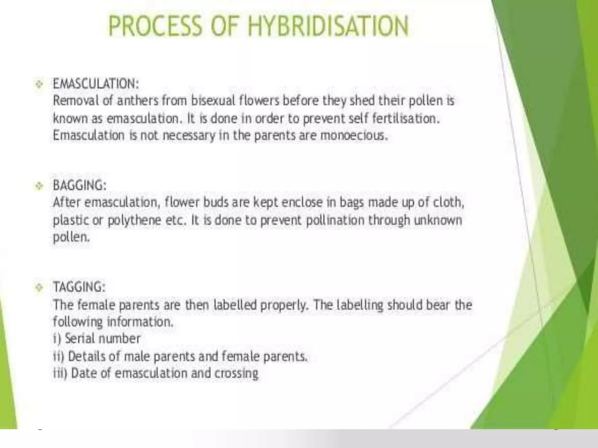 Hybridisation in crop plants | PPTX