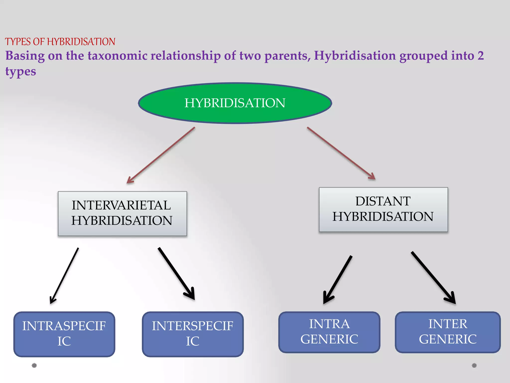 Hybridisation in crop plants | PPTX