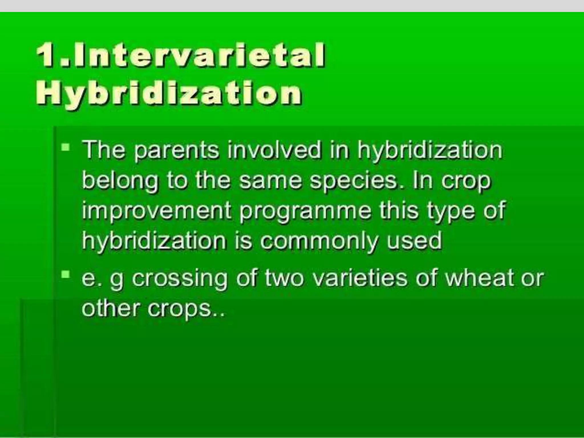 Hybridisation in crop plants | PPTX