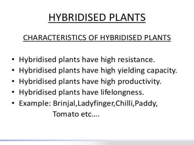Hybridisation in crop plants | PPTX | Agriculture | Industries