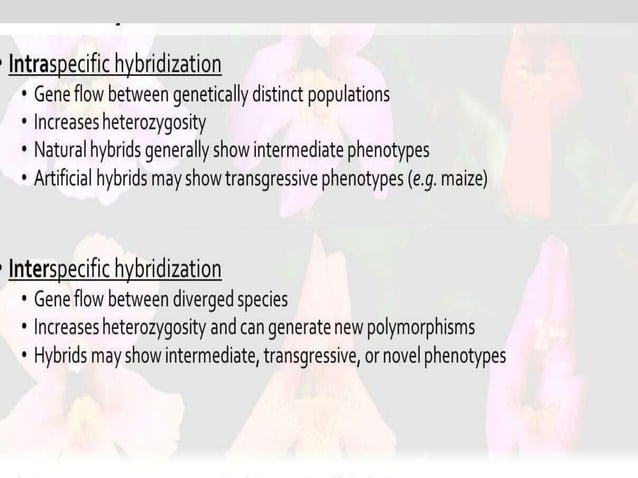 Hybridisation in crop plants | PPTX | Agriculture | Industries