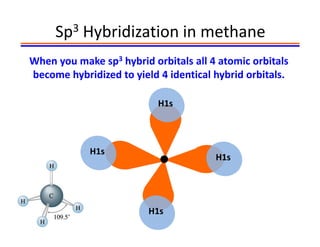 Hybridization | PDF