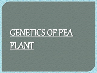 Hybridization | PPT