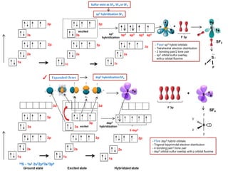 Dsp3 Hybridization