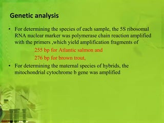 Inter specific hybridization | PPTX