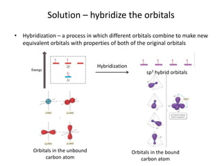 Hybridization | PPT