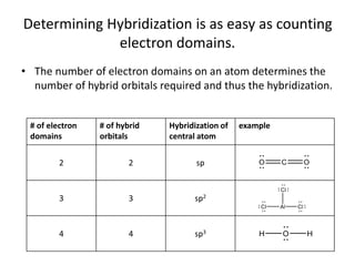 Hybridization | PPT