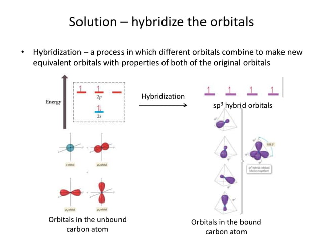 Hybridization | PPT