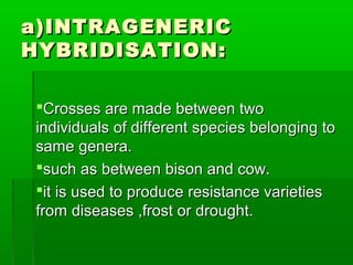 Hybridization | PPT