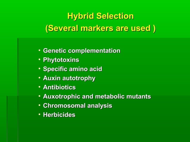 Hybridization | PPT | Genetics | Science