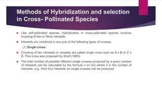 Hybridization | PPTX
