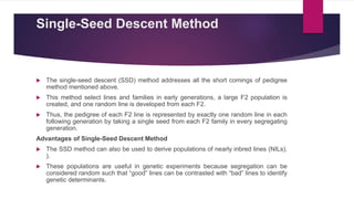 Hybridization | PPTX