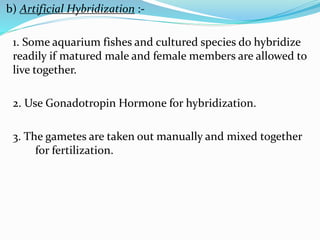 Hybridization in fishes | PPTX