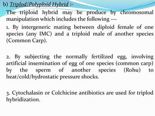 Hybridization in fishes | PPTX