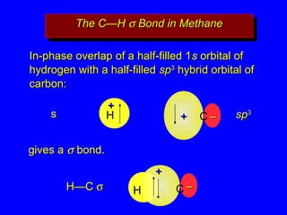 Hybridization | PPT